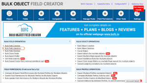 How to mass update custom fields in Salesforce? | BOFC