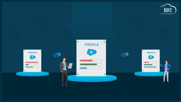 How To Compare Profiles In Salesforce Within Few Clicks Bofc