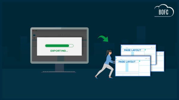 How to Export Multiple Page Layout in Salesforce?