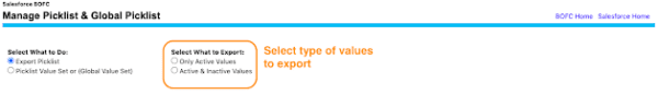 Export Salesforce Picklist Values in Bulk | BOFC Tool
